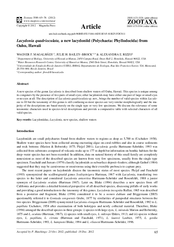 (PDF) Lacydonia quadrioculata, a new lacydoniid (Polychaeta ...