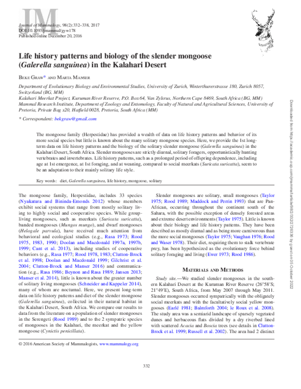 (PDF) Life history patterns and biology of the slender mongoose ...