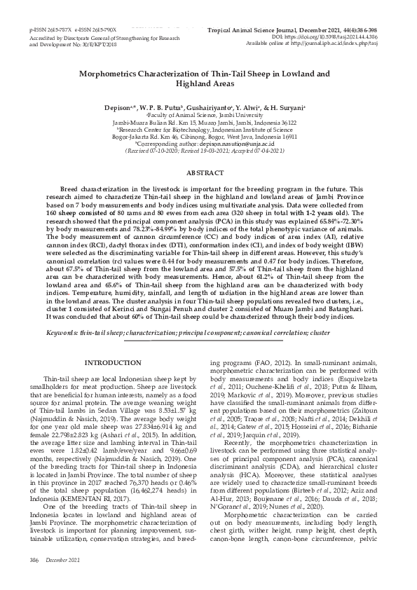 (PDF) Morphometrics Characterization of Thin-Tail Sheep in Lowland and Highland Areas