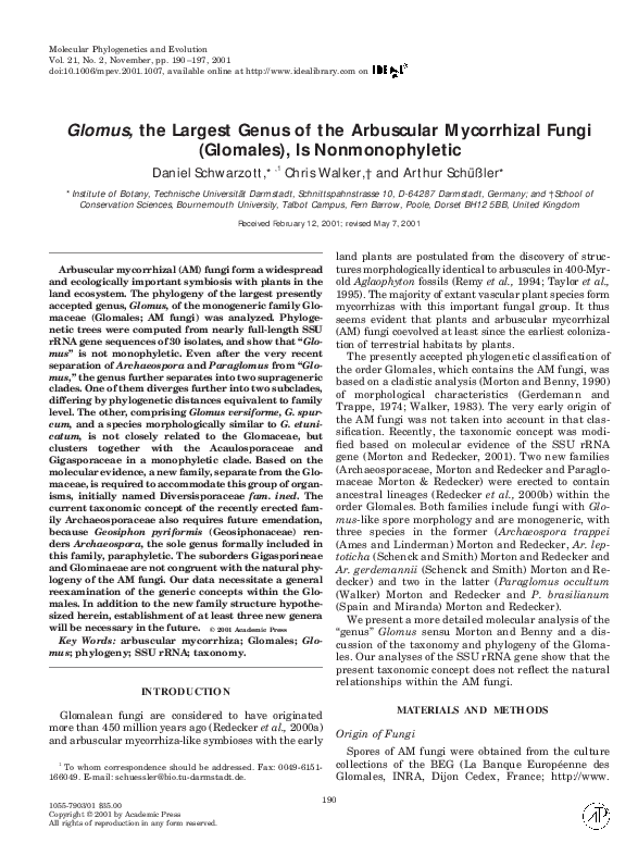(PDF) Glomus, the Largest Genus of the Arbuscular Mycorrhizal Fungi ...