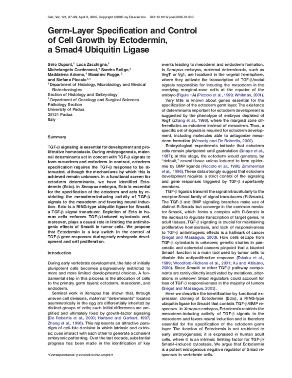 (PDF) Germ-Layer Specification and Control of Cell Growth by Ectodermin, a Smad4 Ubiquitin Ligase