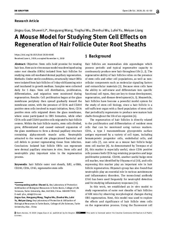 (PDF) A Mouse Model for Studying Stem Cell Effects on Regeneration of ...