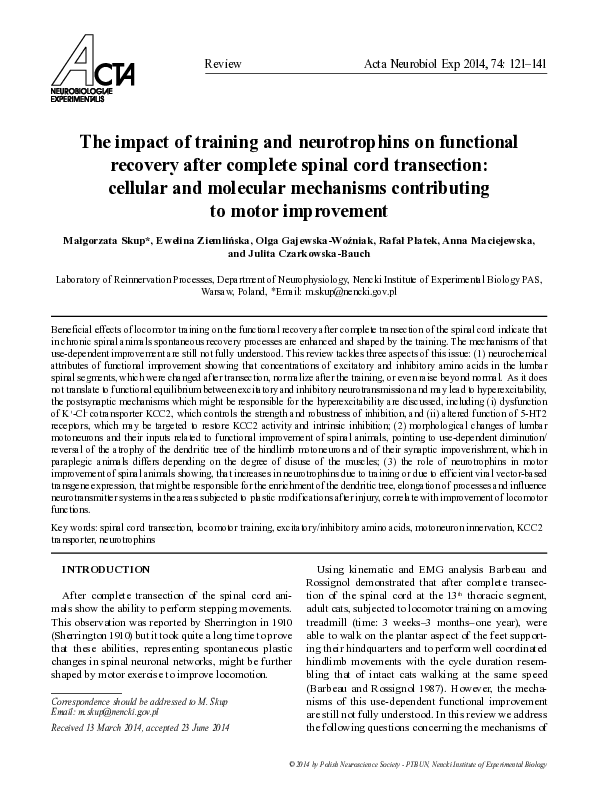 (PDF) The impact of training and neurotrophins on functional recovery ...