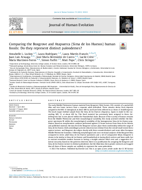 (PDF) Comparing the Boxgrove and Atapuerca (Sima de los Huesos) human ...