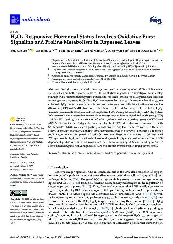 (PDF) H2O2-Responsive Hormonal Status Involves Oxidative Burst ...