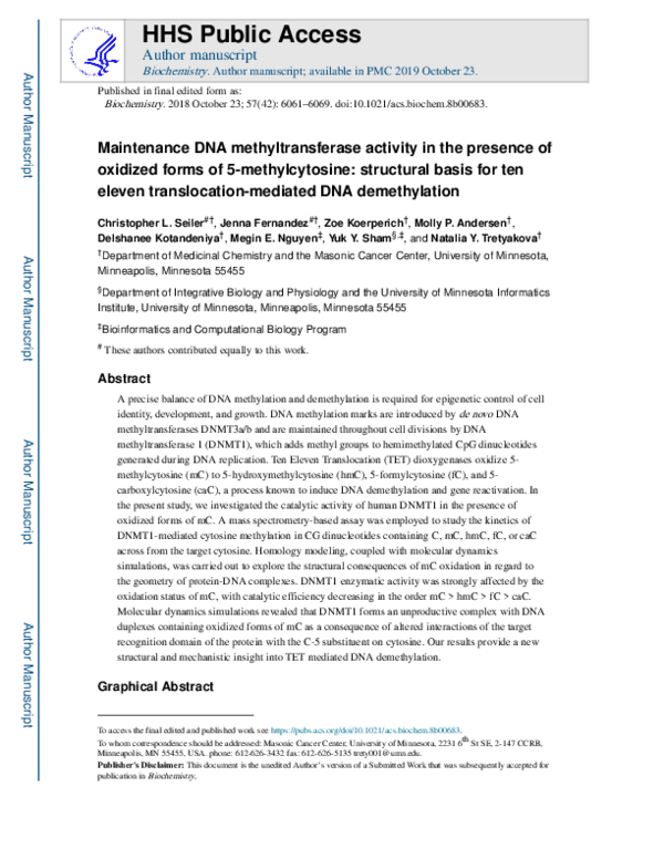 (PDF) Maintenance DNA Methyltransferase Activity in the Presence of ...