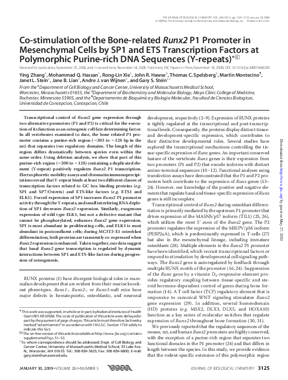 (PDF) Co-stimulation of the Bone-related Runx2 P1 Promoter in ...