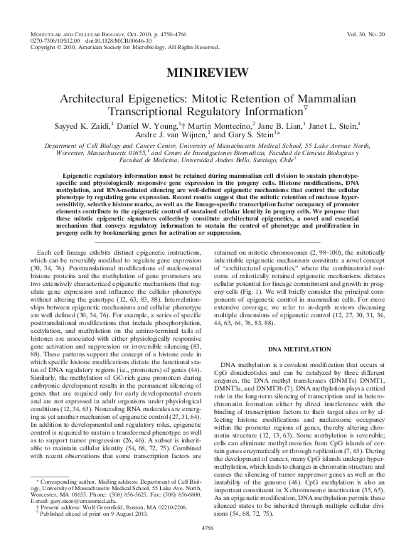 (PDF) Architectural Epigenetics: Mitotic Retention of Mammalian ...