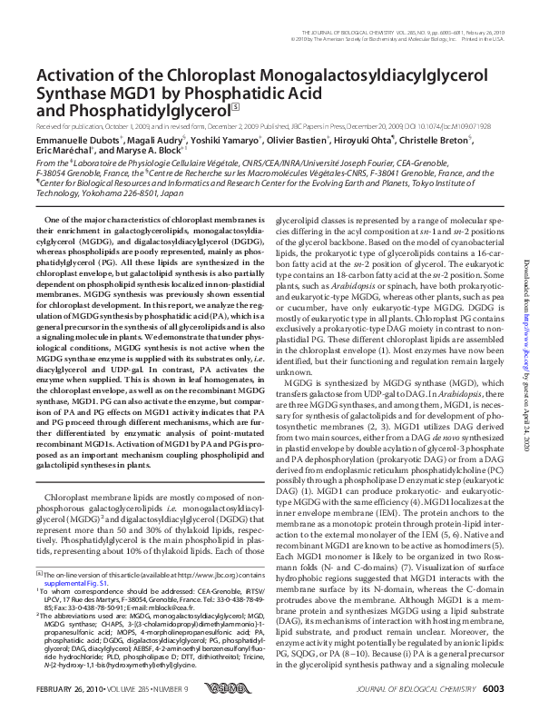 (PDF) Activation of the Chloroplast Monogalactosyldiacylglycerol ...