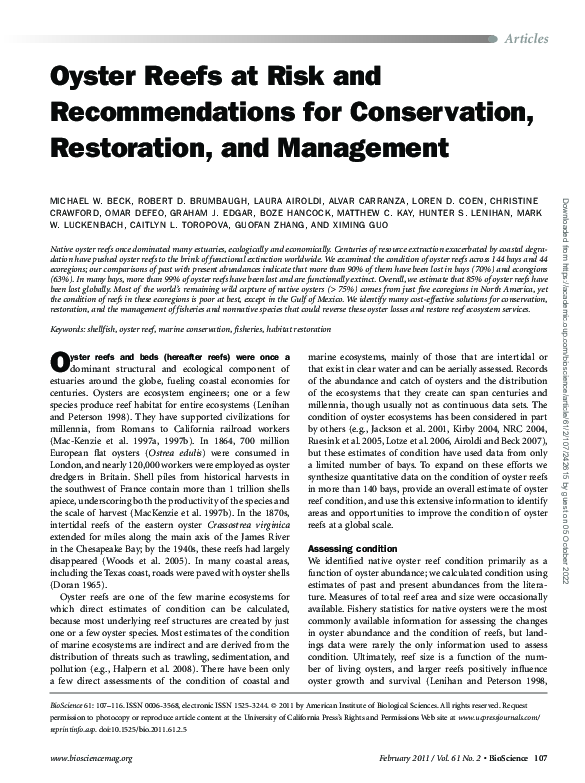 (PDF) Oyster Reefs at Risk and Recommendations for Conservation ...