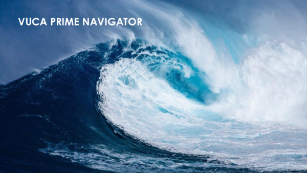 (PDF) VUCA PRIME NAVIGATOR
