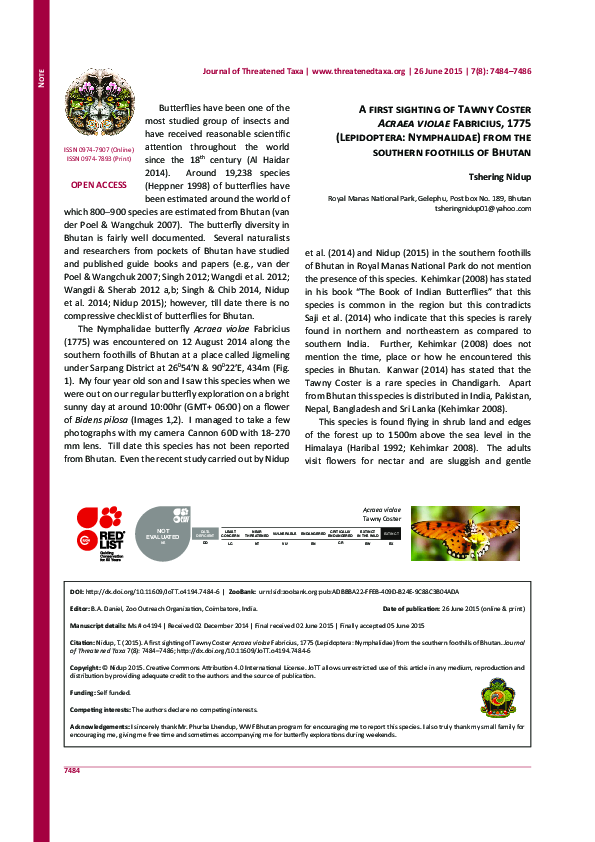 (PDF) A first sighting of Tawny Coster Acraea violae Fabricius, 1775 ...