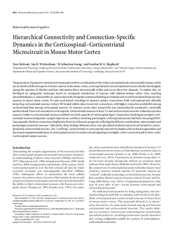 (PDF) Faculty of 1000 evaluation for Hierarchical connectivity and ...