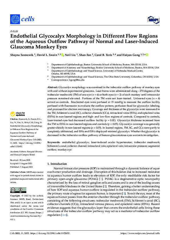 (PDF) Endothelial Glycocalyx Morphology in Different Flow Regions of ...