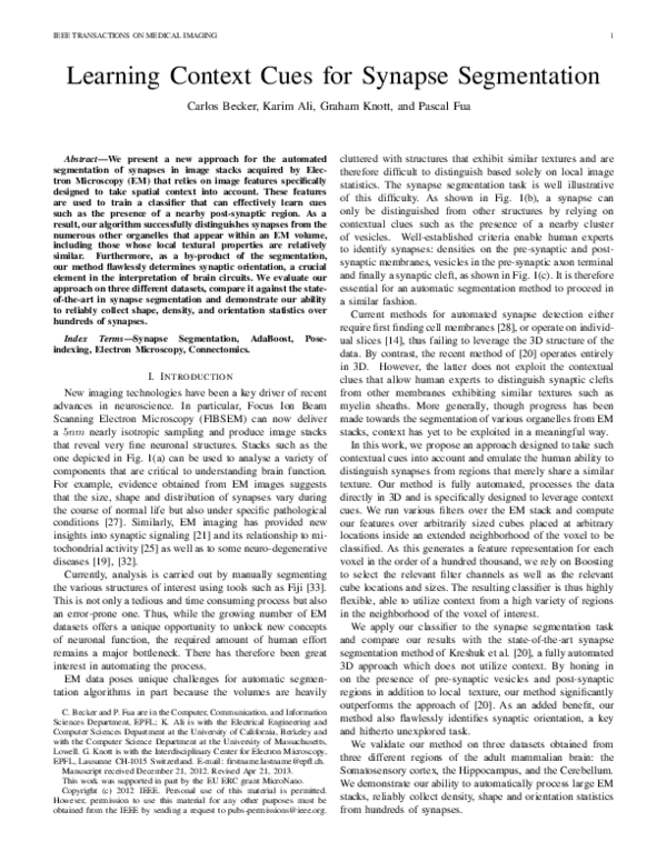Pdf Learning Context Cues For Synapse Segmentation