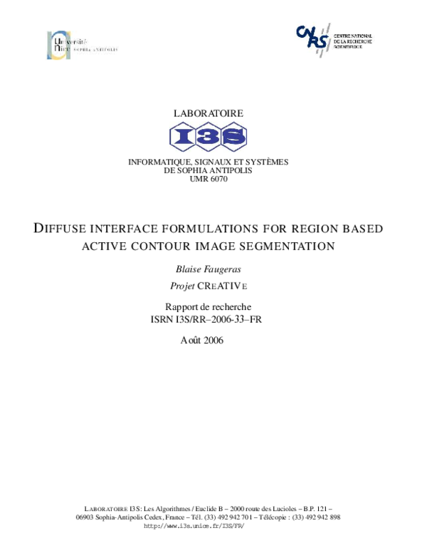 Pdf Diffuse Interface Formulations For Region Based Active Contour Image Segmentation