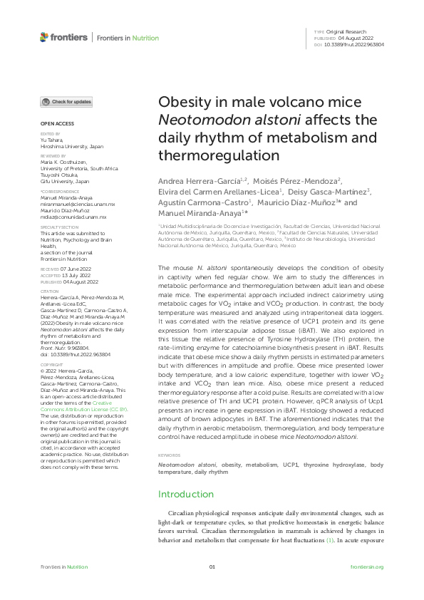 (PDF) Obesity in male volcano mice Neotomodon alstoni affects the daily ...