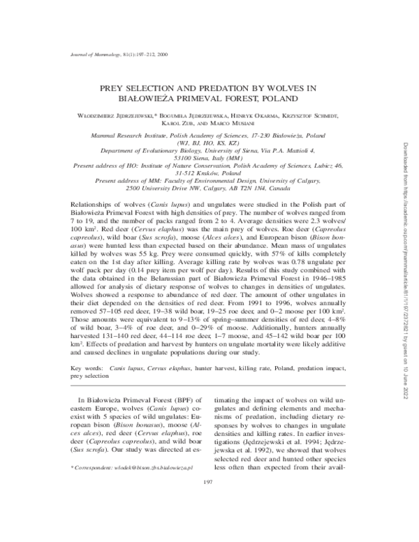 (PDF) Prey Selection and Predation by Wolves in Białowieża Primeval ...