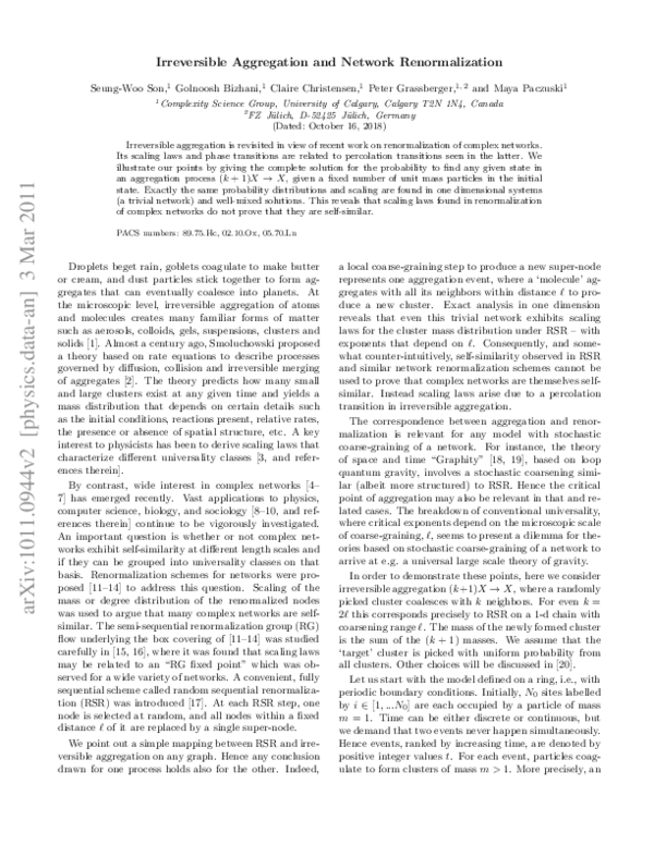 (PDF) Irreversible aggregation and network renormalization