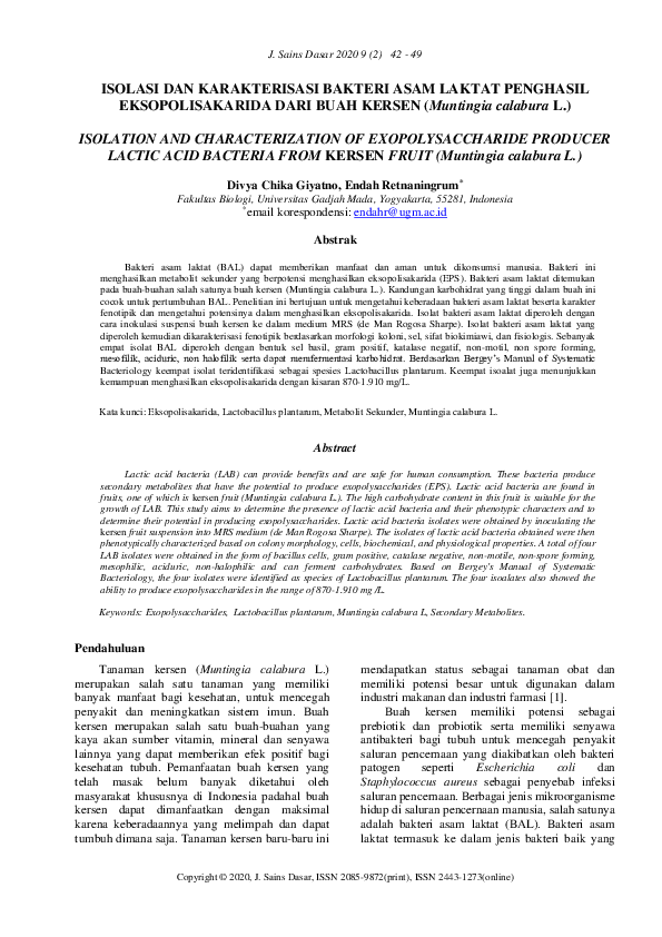 (PDF) Isolasi dan Karakterisasi Bakteri Asam Laktat Penghasil Eksopolisakarida dari Buah Kersen ...