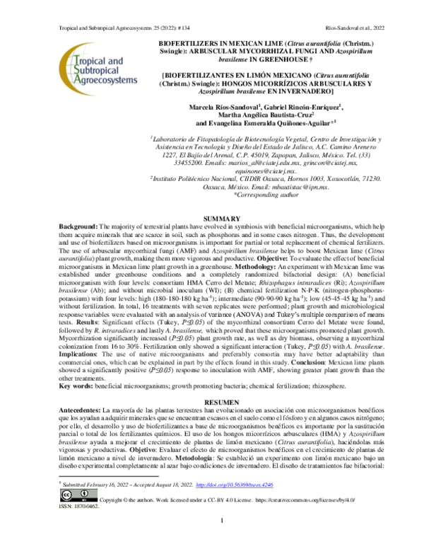 (PDF) BIOFERTILIZERS IN MEXICAN LIME (Citrus aurantifolia (Christm.) Swingle): ARBUSCULAR ...