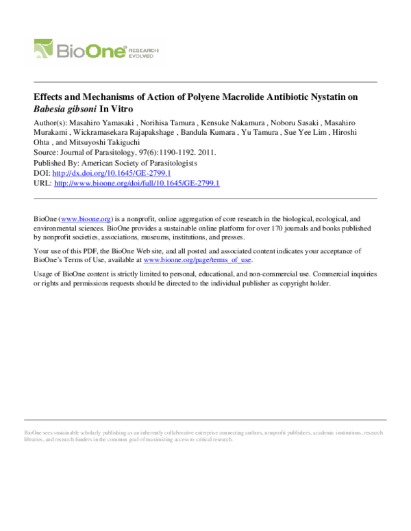 (PDF) Effects and Mechanisms of Action of Polyene Macrolide Antibiotic ...