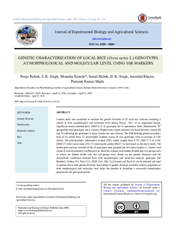 (PDF) GENETIC CHARACTERIZATION OF LOCAL RICE (Oryza sativa L.) GENOTYPES AT MORPHOLOGICAL AND ...