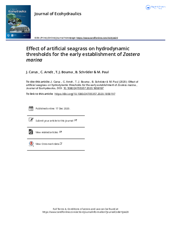 (PDF) Effect of artificial seagrass on hydrodynamic thresholds for the ...