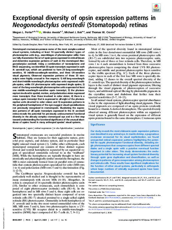 (PDF) Exceptional diversity of opsin expression patterns in ...