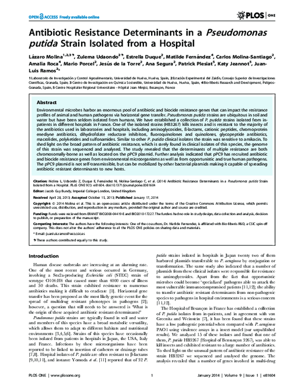 (PDF) Antibiotic Resistance Determinants in a Pseudomonas putida Strain ...