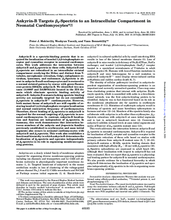 (PDF) Ankyrin-B Targets β2-Spectrin to an Intracellular Compartment in ...