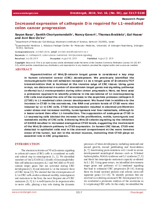 (PDF) Increased expression of cathepsin D is required for L1-mediated ...