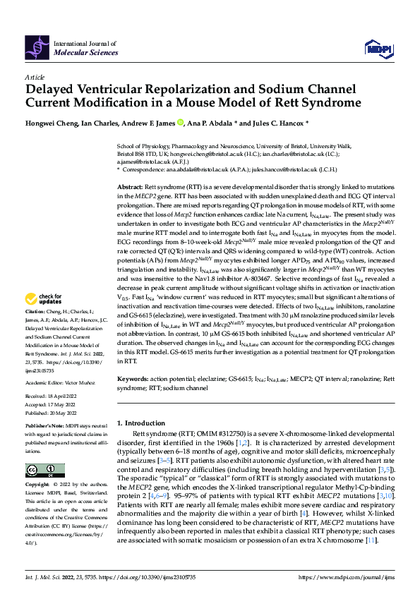 (PDF) Delayed Ventricular Repolarization and Sodium Channel Current ...