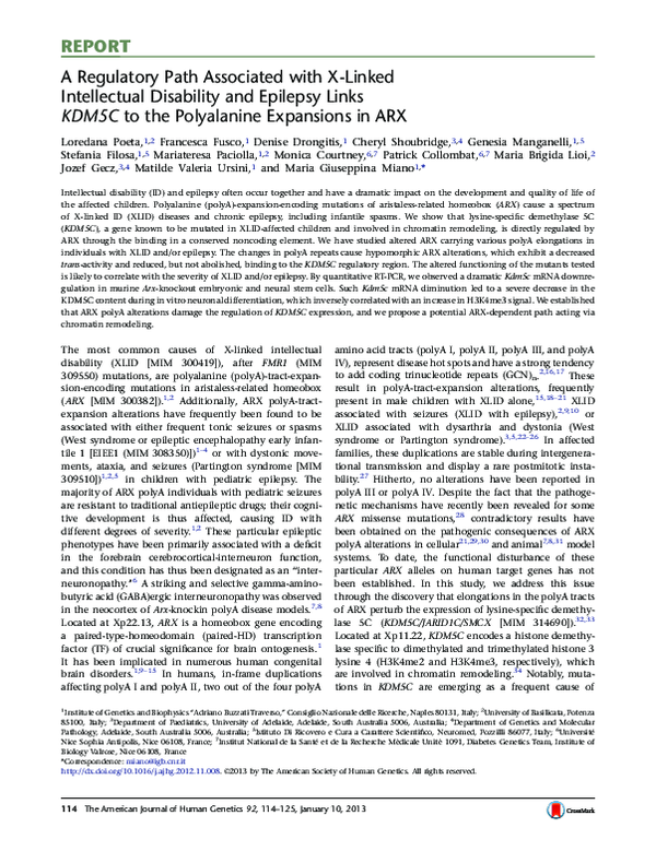 (PDF) A Regulatory Path Associated with X-Linked Intellectual ...