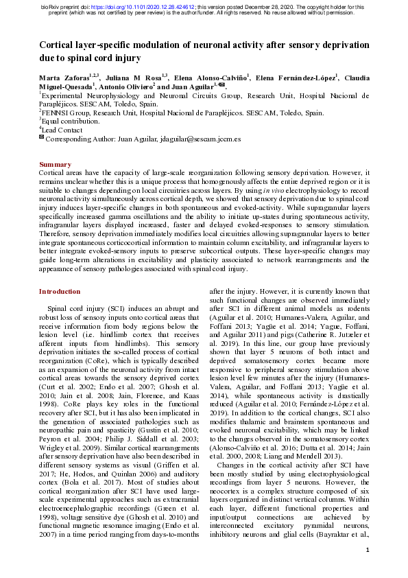 (PDF) Cortical layer-specific modulation of neuronal activity after sensory deprivation due to ...