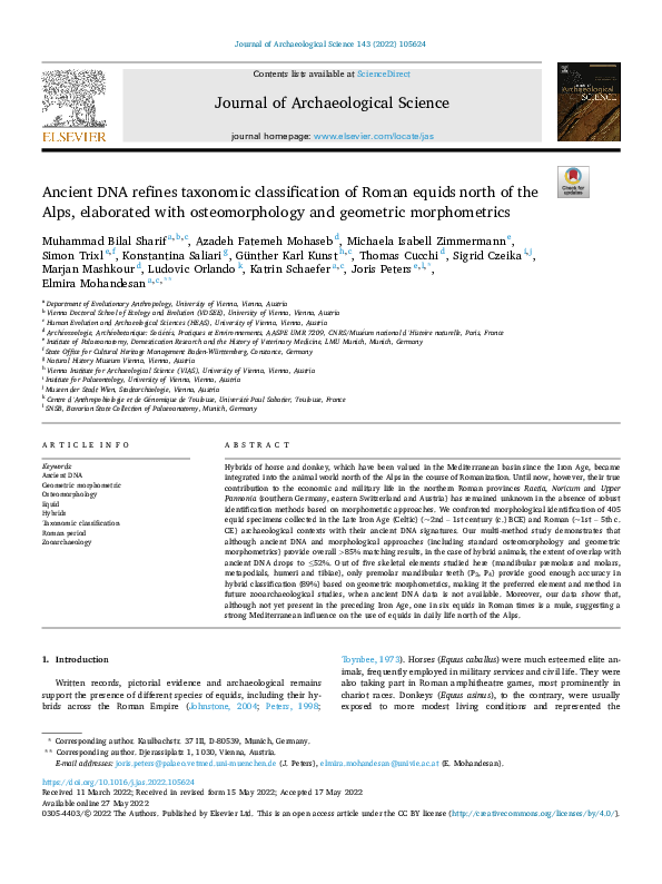 (PDF) Ancient DNA refines taxonomic classification of Roman equids ...