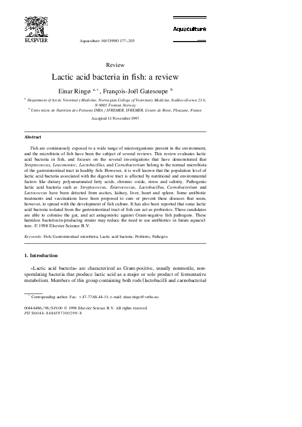 (PDF) Lactic acid bacteria in fish: a review