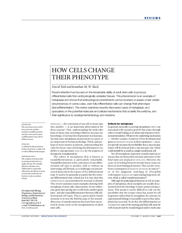 (PDF) How cells change their phenotype | Jonathan Slack - Academia.edu