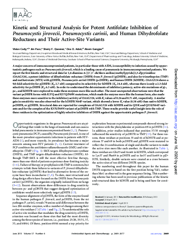 (PDF) Kinetic and Structural Analysis for Potent Antifolate Inhibition ...
