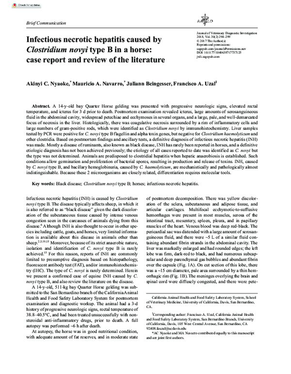 Pdf Infectious Necrotic Hepatitis Caused By Clostridium Novyi Type B