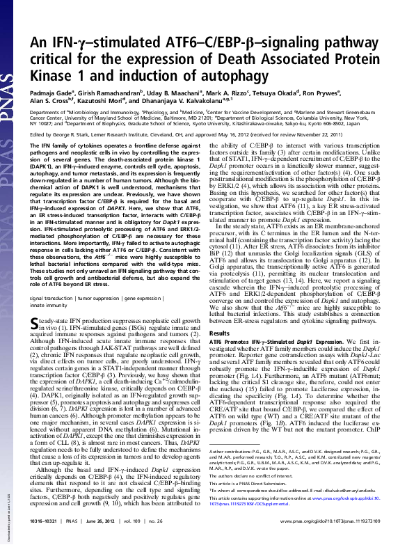 (PDF) An IFN-γ–stimulated ATF6–C/EBP-β–signaling pathway critical for ...