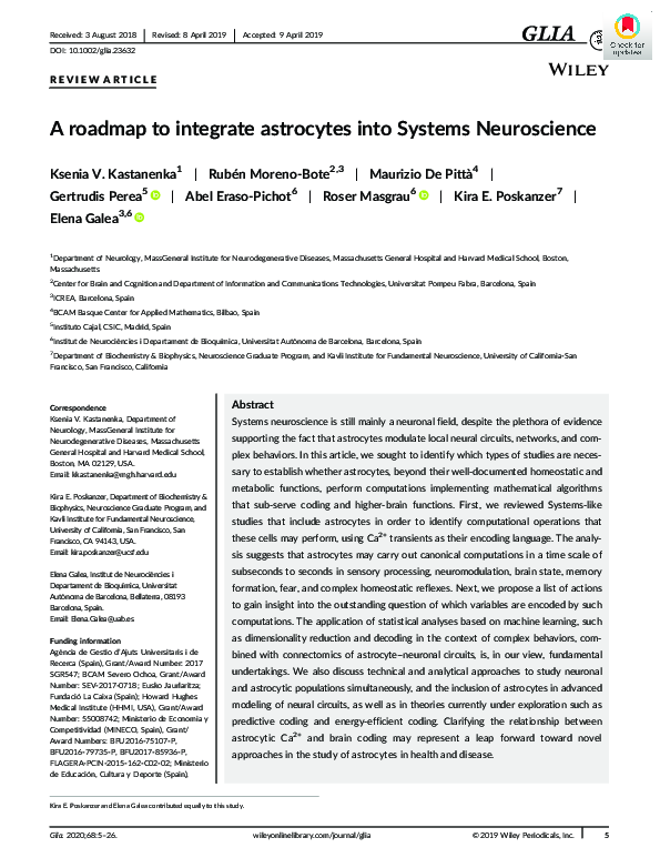 (PDF) A roadmap to integrate astrocytes into Systems Neuroscience