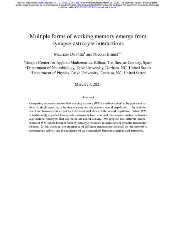 (PDF) Multiple forms of working memory emerge from synapse-astrocyte ...