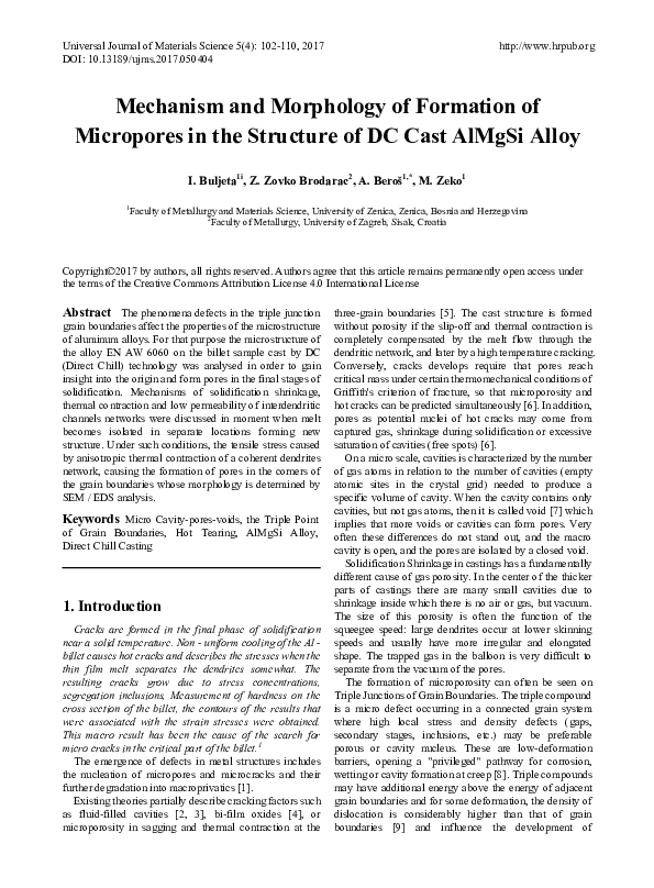 (PDF) Mechanism and Morphology of Formation of Micropores in the ...