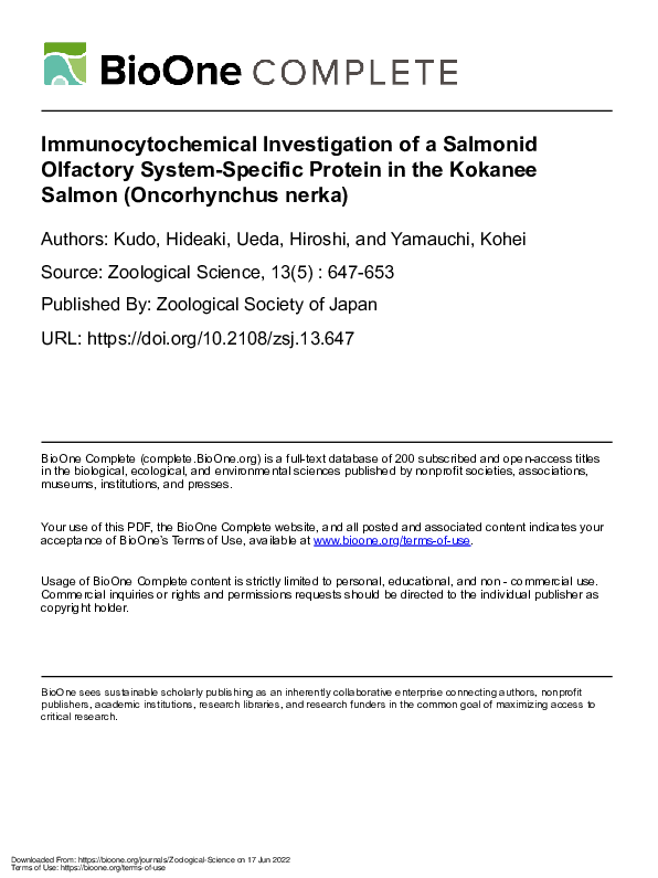 (PDF) Immunocytochemical Investigation of a Salmonid Olfactory System ...