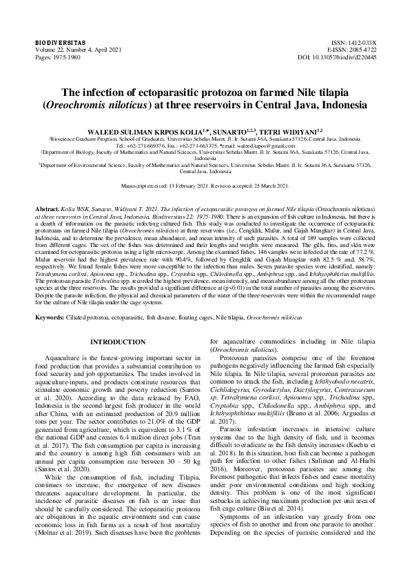 (PDF) The infection of ectoparasitic protozoa on farmed Nile tilapia ...