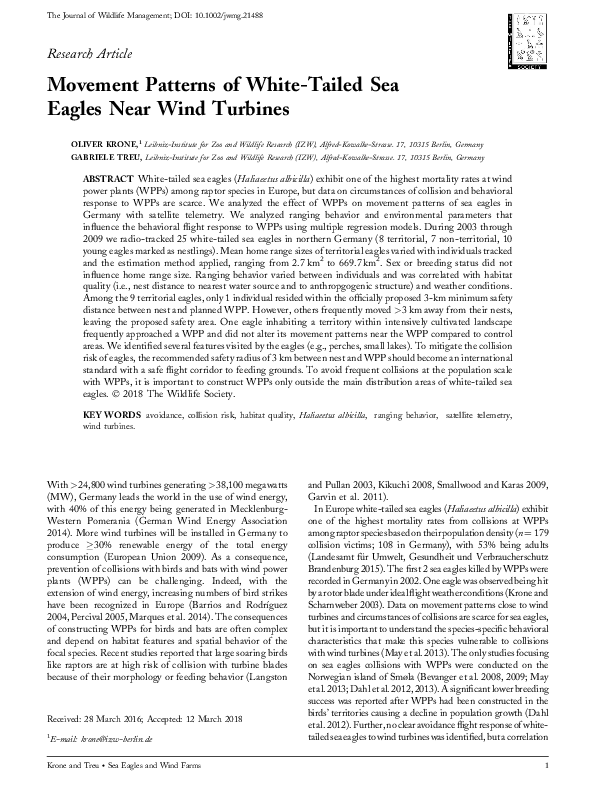 (PDF) Movement patterns of white-tailed sea eagles near wind turbines