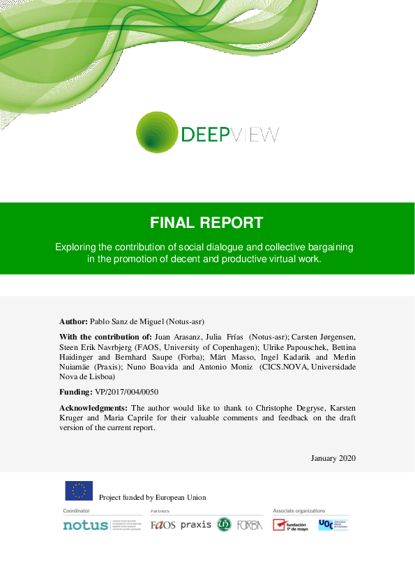 (PDF) Final Report DeepView EN