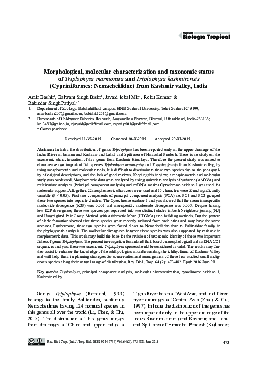 (PDF) Morphological, molecular characterization and taxonomic status of ...