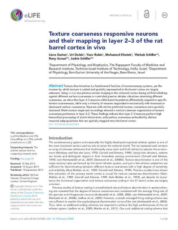 (PDF) Texture coarseness responsive neurons and their mapping in layer 2–3 of the rat barrel ...